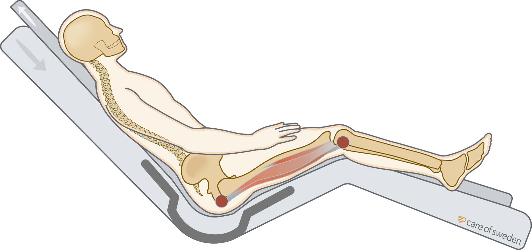 Positionering & Lägesändring - careofsweden